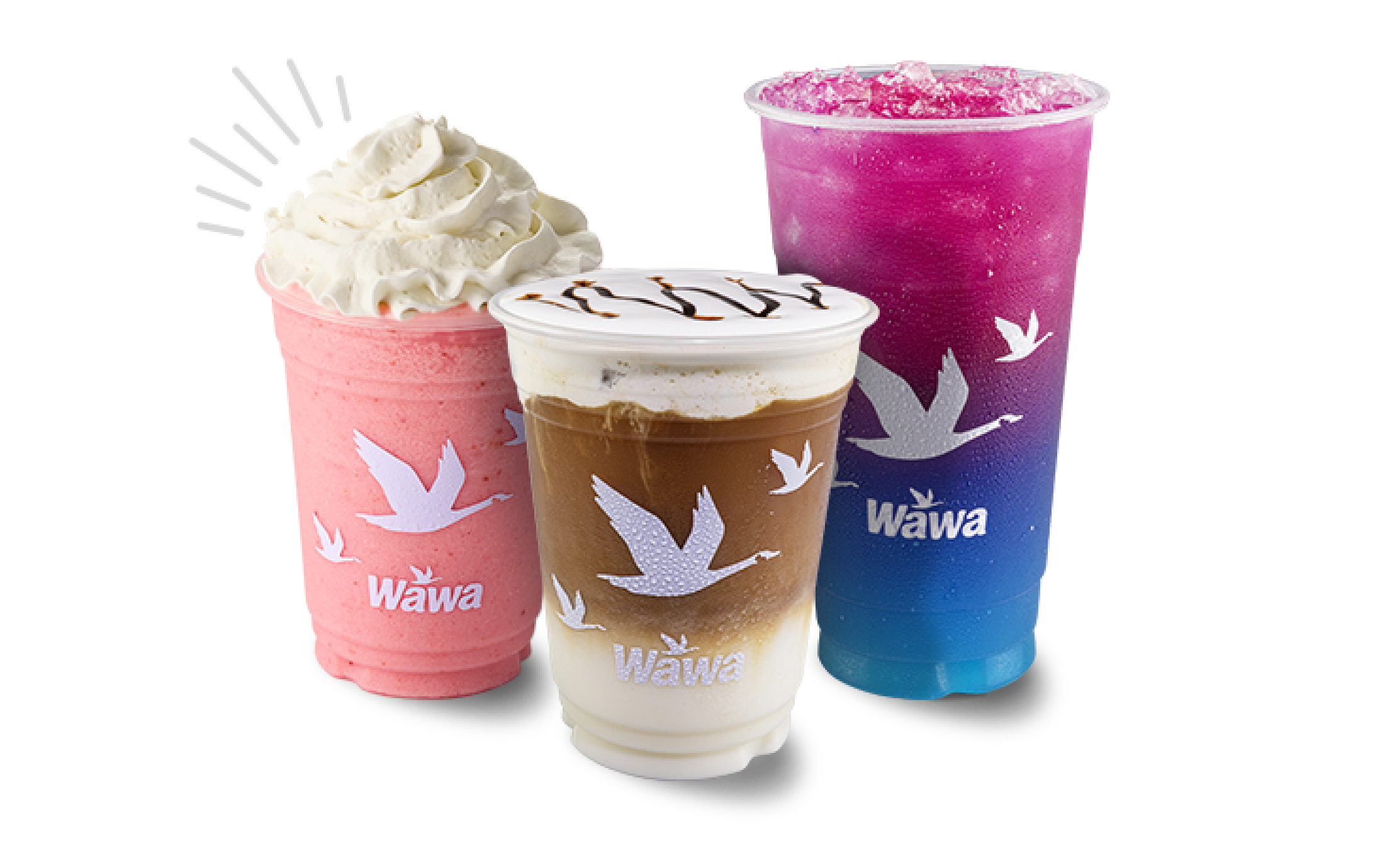 Wawa menu near me store