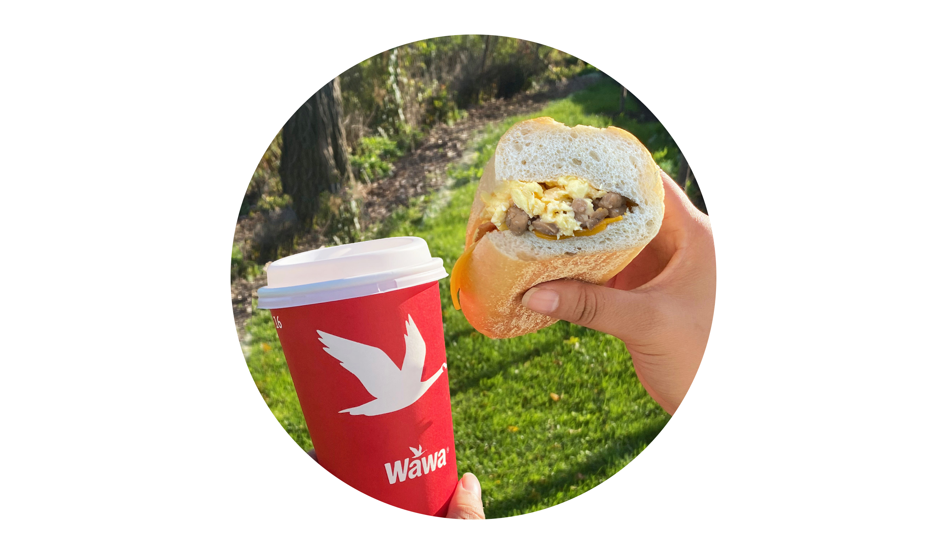 Rise and Shine: Wawa's Breakfast Hoagies - Order Now! | Wawa