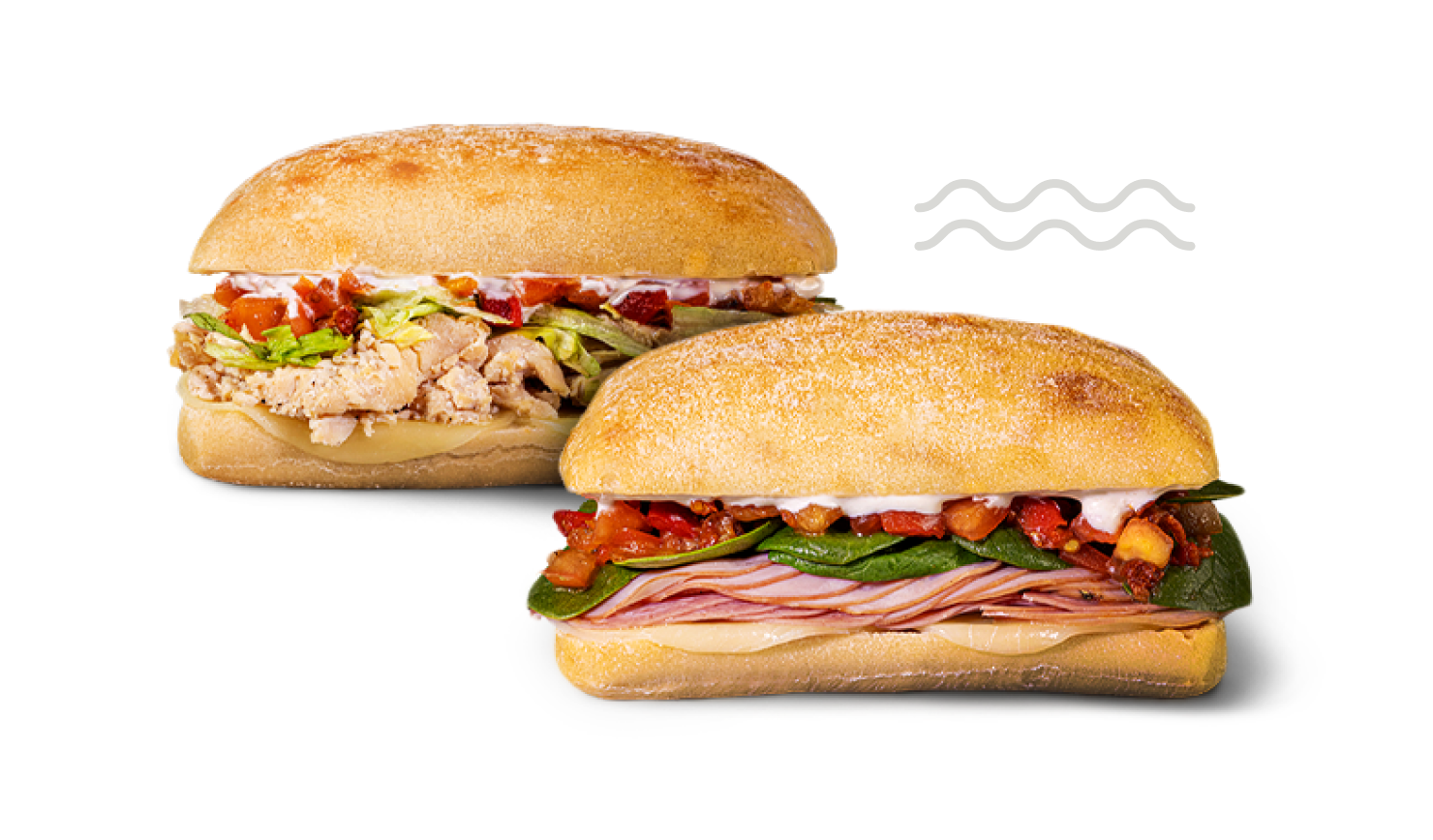 Wawa sandwiches store
