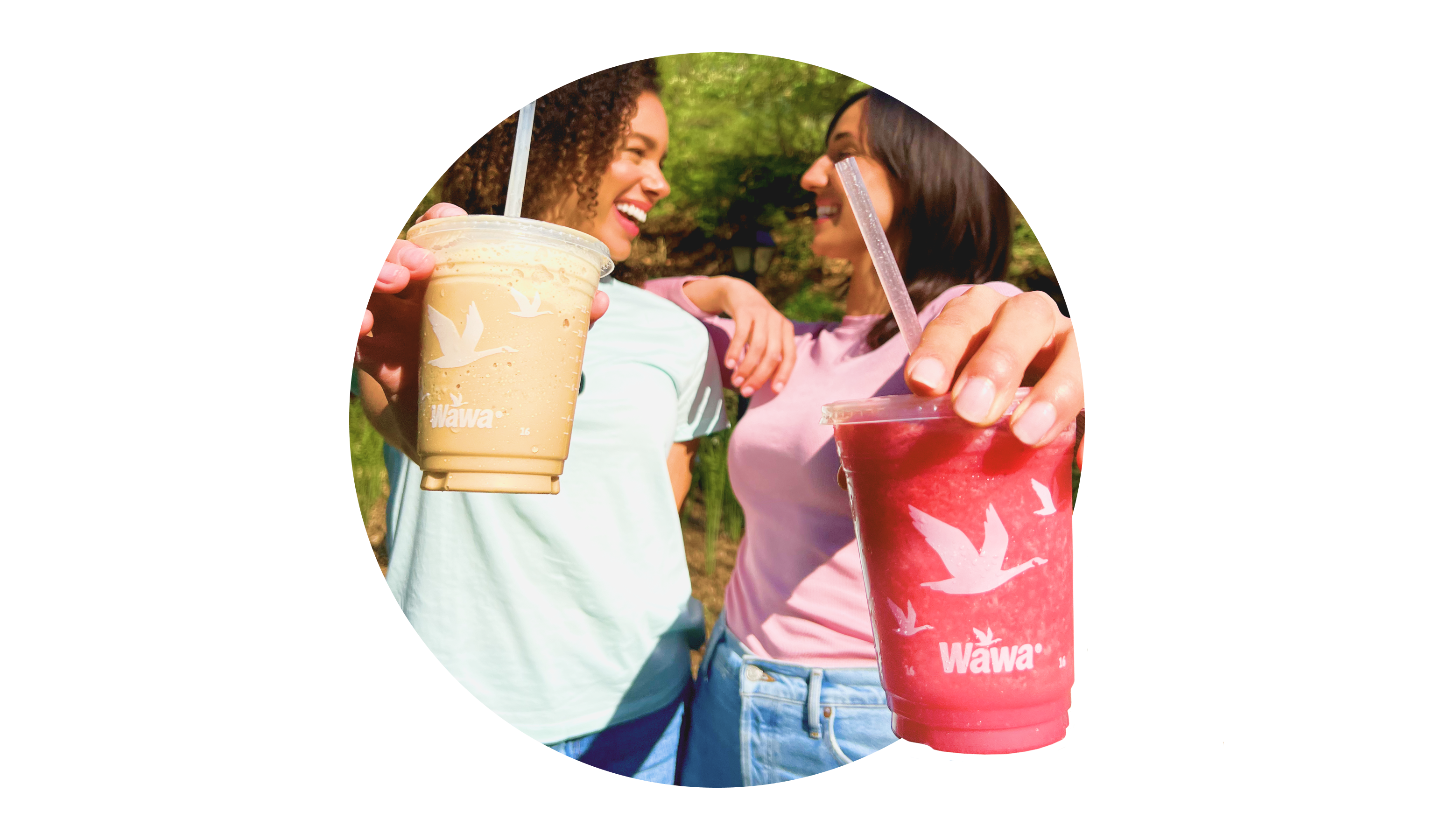 Iced Delight: Wawa's Frozen Cappuccinos - Order Now! | Wawa
